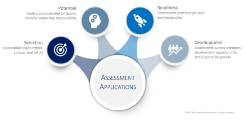 Talent Assessment - MDA Leadership