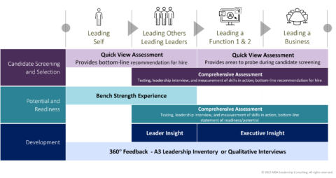 Talent Assessment - MDA Leadership
