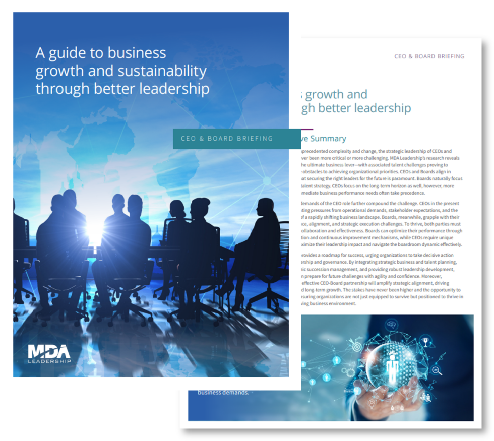 CEO & Board Briefing: A Guide to Business Growth and Sustainability ...